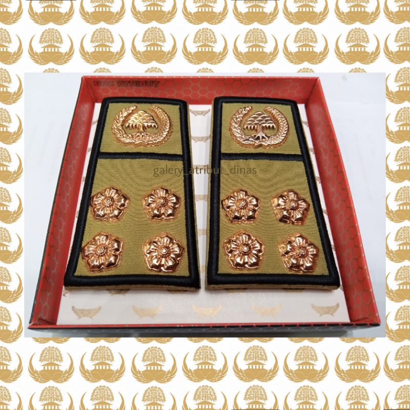 Jual PANGKAT PNS BENGKULU GOLONGAN 2D | Shopee Indonesia