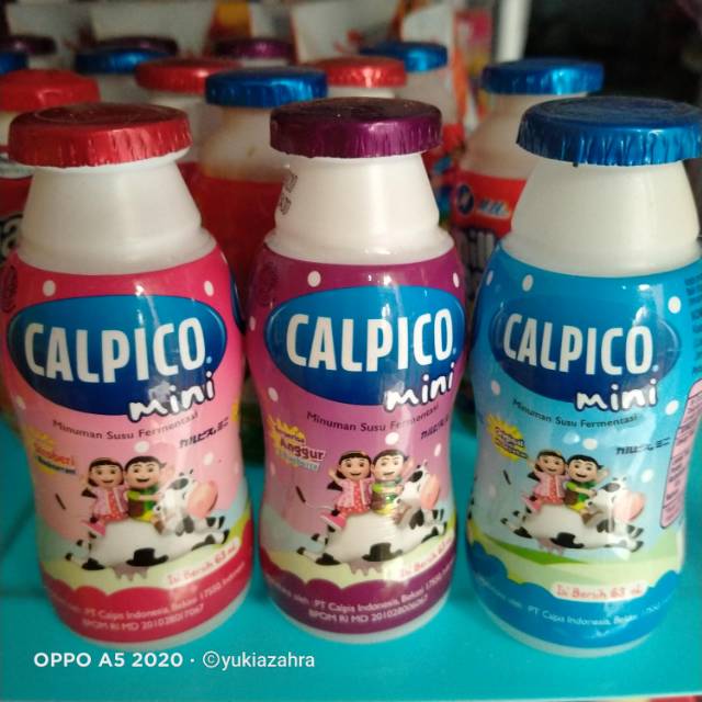 Jual Calpico mini | Shopee Indonesia