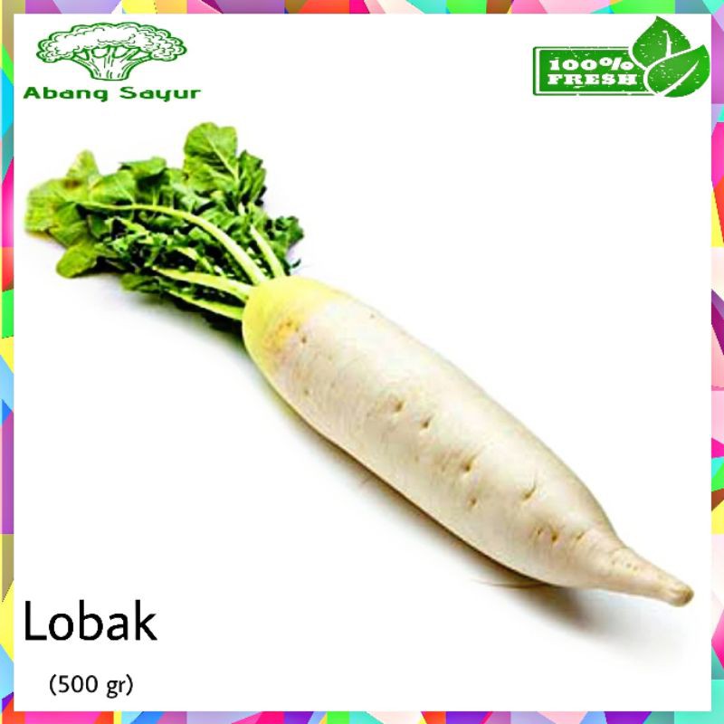 Jual Lobak Putih 500gr | Shopee Indonesia