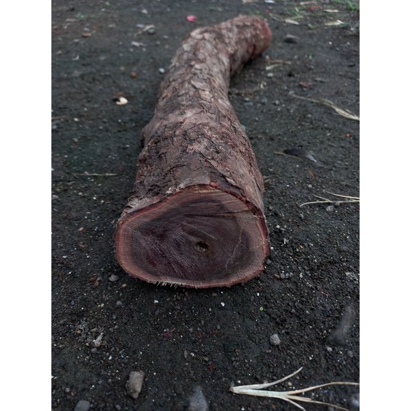 Jual bahan kayu galih stigi/setigi wulung super galih ngurak | Shopee ...