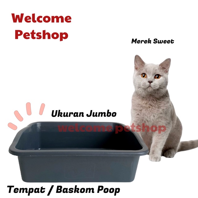 Jual Tempat Baskom Kotoran Pup Kucing / Tempat Poop Kucing Ukuran Jumbo ...