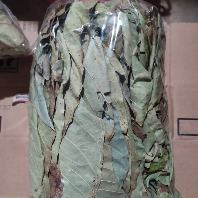 Jual DAUN BUNGUR KERING 500 GR / DAUN BANABA | Shopee Indonesia