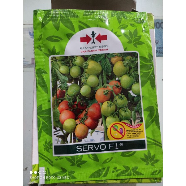 Jual Bibit Tomat Servo F1 1750 btr Panah Merah | Shopee Indonesia