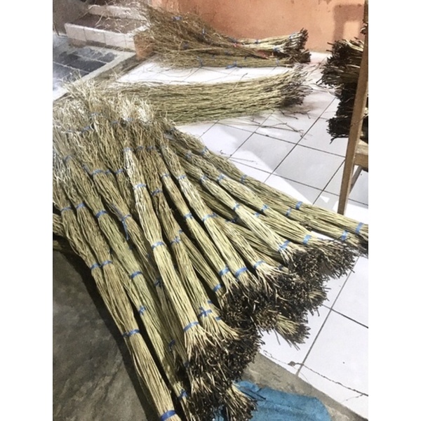 Jual Akar manon/Akar Mentau isi 100 Akar dekorasi panjang 120cm ...