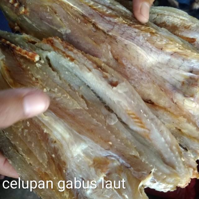 Jual Ikan Asin Gabus Laut | Shopee Indonesia