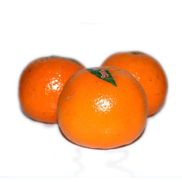 Jual Jeruk Kino Pakistan Mandarin 1 kg | Shopee Indonesia