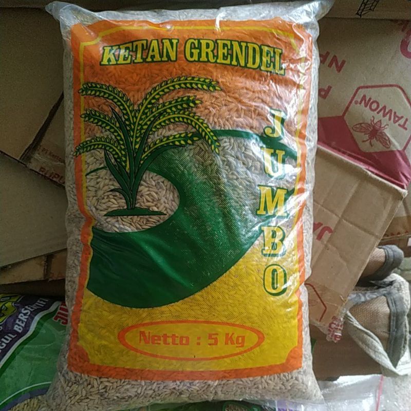 Jual Benih Padi Ketan Putih GRENDEL 5 Kg Buat kalangan Sendiri | Shopee ...