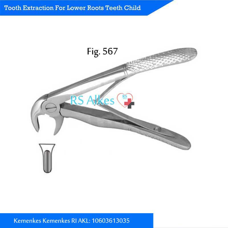 Jual Tooth Extracting Forcep Tang Cabut Gigi Anak Original | Shopee ...
