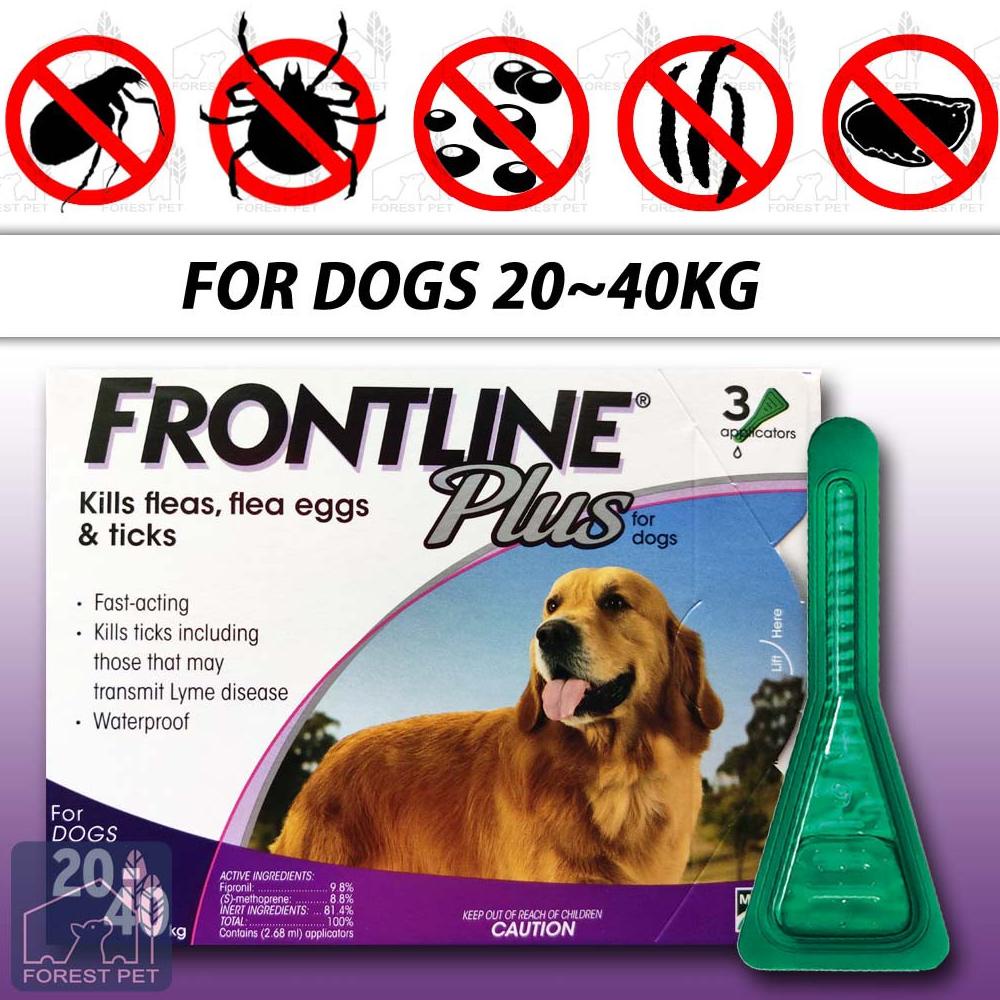 Jual Promo Obat Kutu Anjing Frontline Plus 20-40Kg For Dogs / Obat Kutu ...