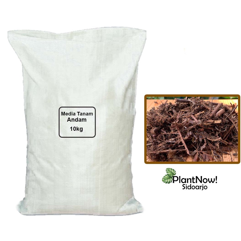 Jual Media Tanam Andam Pakis Bambu Akar Daun Batang Organik - Karung 10 ...
