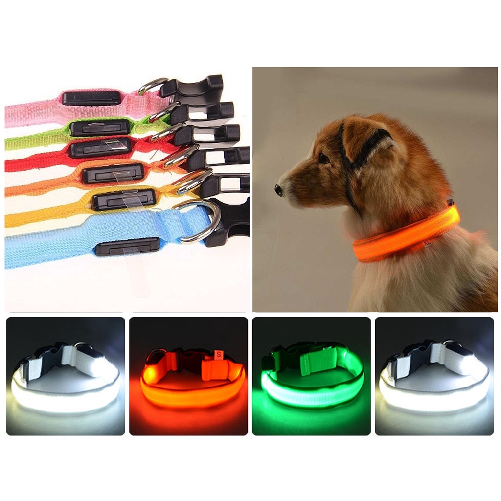 Jual Dog Cat Pet Collar / Tali Hewan Tali Kalung Anjing Kucing Nylon ...