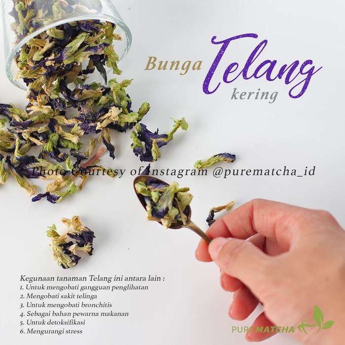 Jual Bunga Telang Kering 100gr Blue Tea Asian Pigeonwings Bluebellvine ...