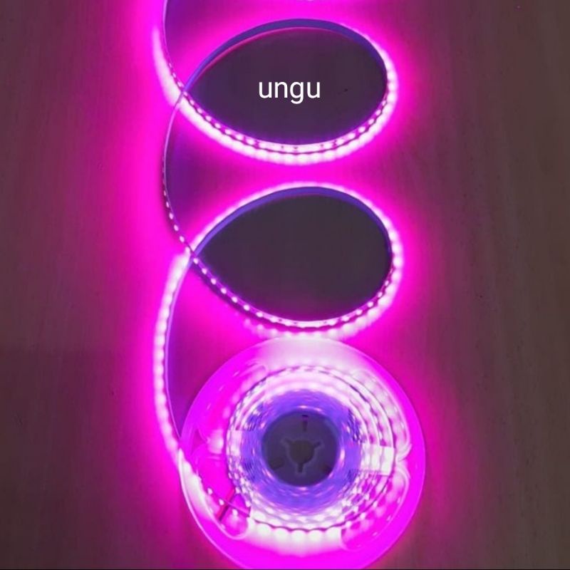 Jual Lampu Led Strip Flexible Linear Light SMD2835 600 Mata 5m 5 meter ...