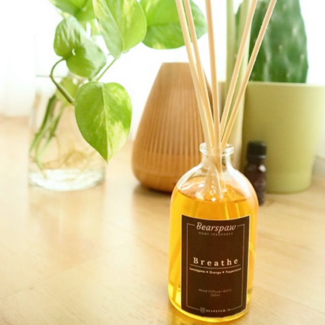Jual Bearspaw Essential Oil Reed Diffuser 100ml Breathe Lemongrass ...