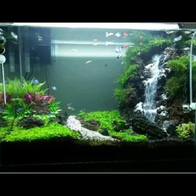 Jual aquarium aquascape jadi full set lengkap air terjun | Shopee Indonesia
