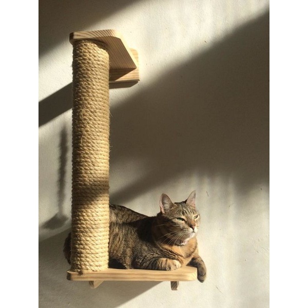 Jual garukan kucing dinding dan kandang cat scratcher 50cm | Shopee ...