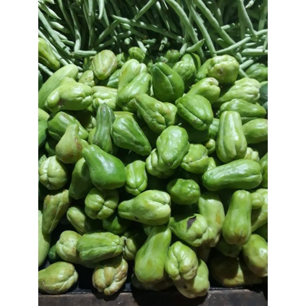 Jual Labu acar labu lalap | Shopee Indonesia