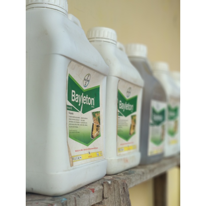 Jual BAYLETON - FUNGISIDA / INSEKTISIDA / RACUN JAMUR PUTIH KEMASAN 5 ...