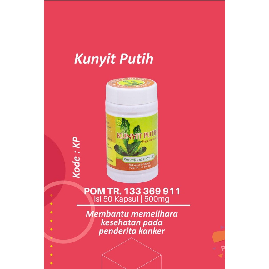 Jual KUNYIT PUTIH TOGA NUSANTARA 50 KAPSUL | Shopee Indonesia