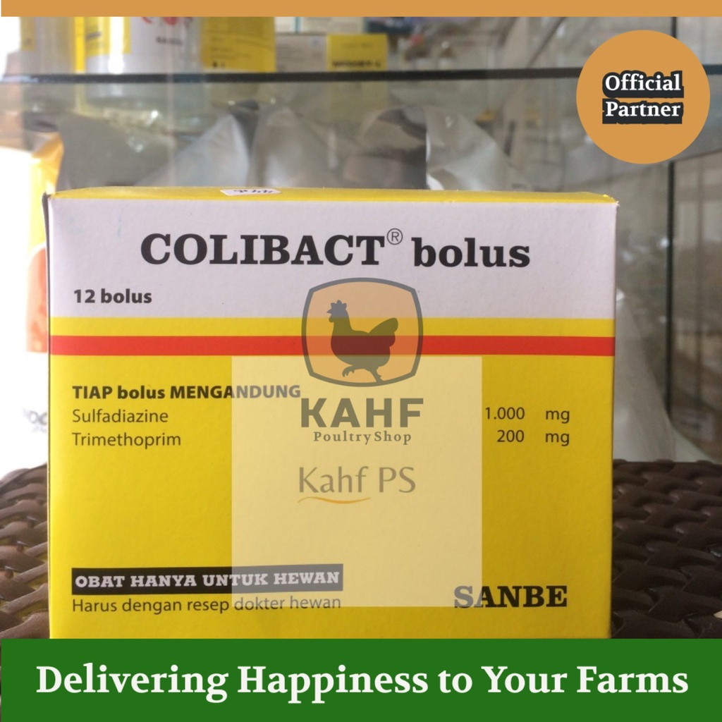 Jual Colibact Bolus isi 12 Obat Pencernaan Sapi Diare | Shopee Indonesia