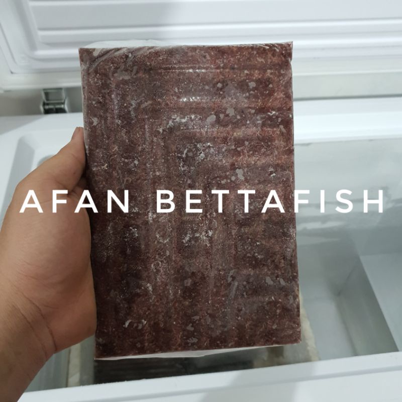 Jual CACING BEKU CABEK BLOODWORM 1 KG / FROZEN BLOODWORM 1KG 4 LEMPENG ...