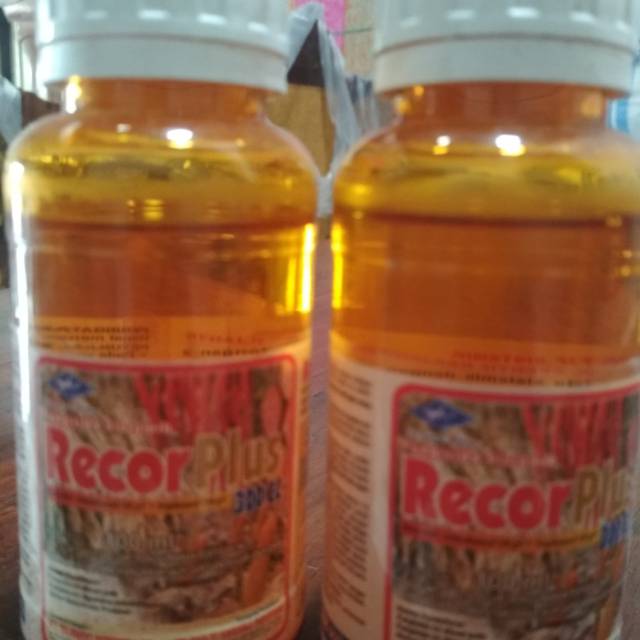 Jual Fungisida Recor Plus 300 EC 100 ml cap Kapal Terbang | Shopee ...