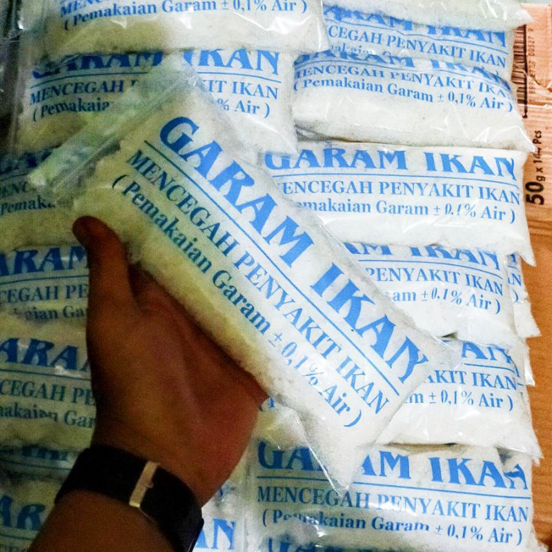 Jual Garam ikan Garam krosok non yodium 500gr | Shopee Indonesia
