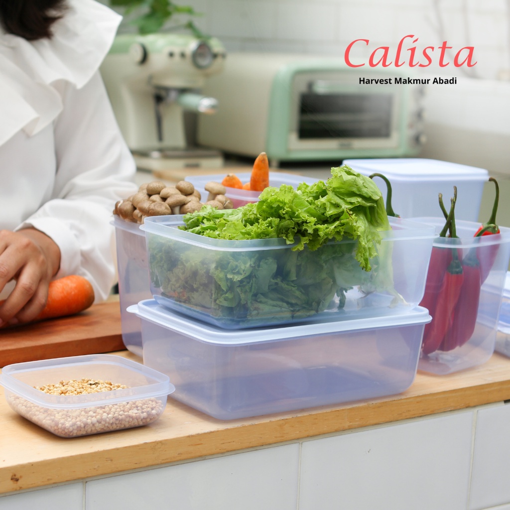 Jual [CALISTA] FOOD KONTAINER SET OTARU ISI 14 | Shopee Indonesia