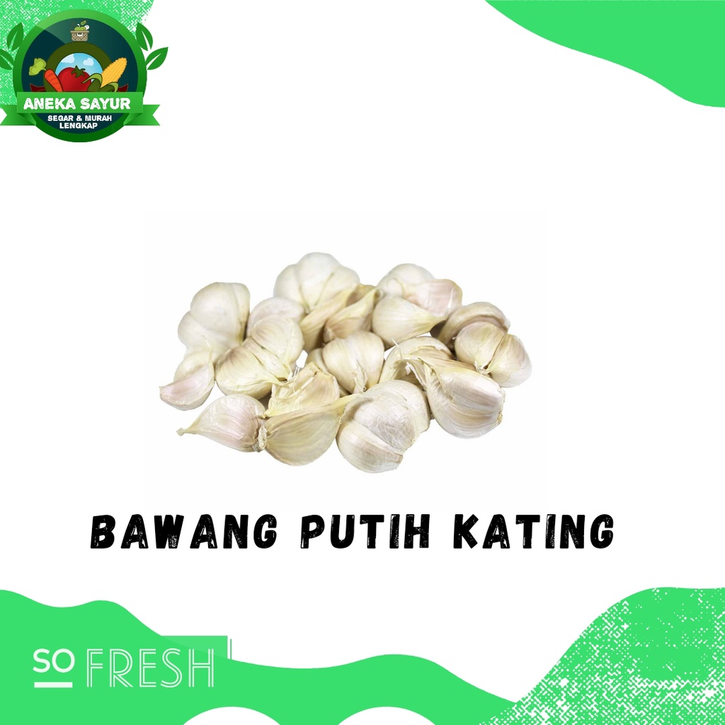 Jual Bawang Putih Kating | Shopee Indonesia
