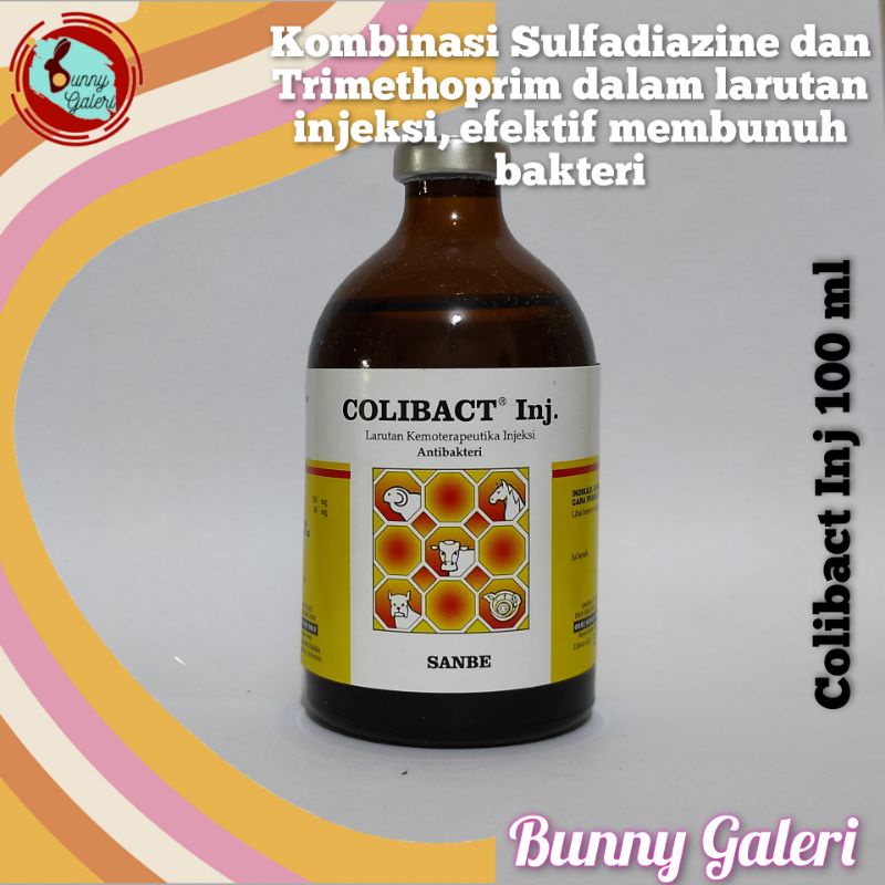 Jual COLIBACT INJ 100 ml kombinasi Sulfadiazine dan Trimethoprim dalam ... Jual COLIBACT INJ 100 ml kombinasi Sulfadiazine dan Trimethoprim dalam ...