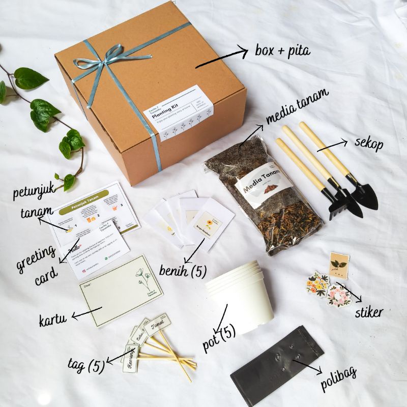Jual Big Planting Kit / Grow kit / Gardening kit / Paket menanam ...