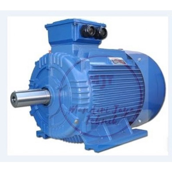 Jual Dinamo Elektro Motor 3 Phase 3 Fase 60 HP 60 PK 3000 RPM MOTOLOGY B3 | Shopee Indonesia
