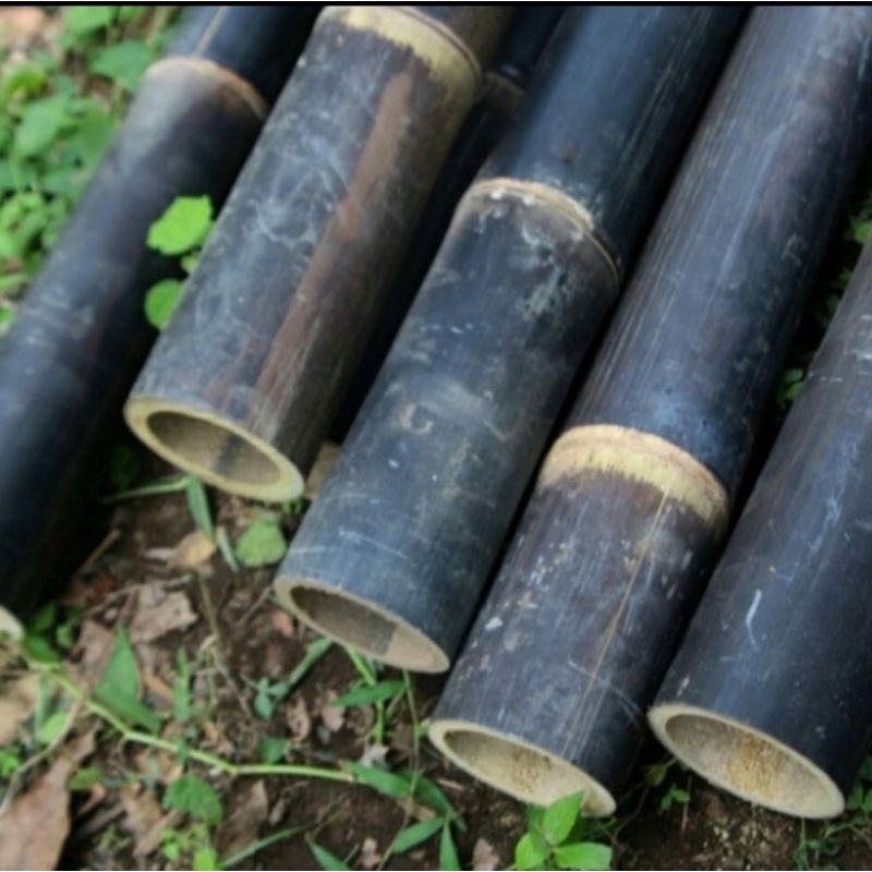 Jual bambu hitam/bambu wulung panjang 100cm | Shopee Indonesia