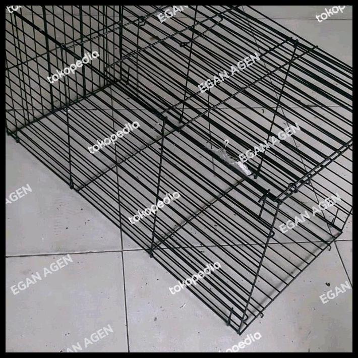 Jual Perangkap Kucing Perangkap Musang Perangkap Luwak | Shopee Indonesia