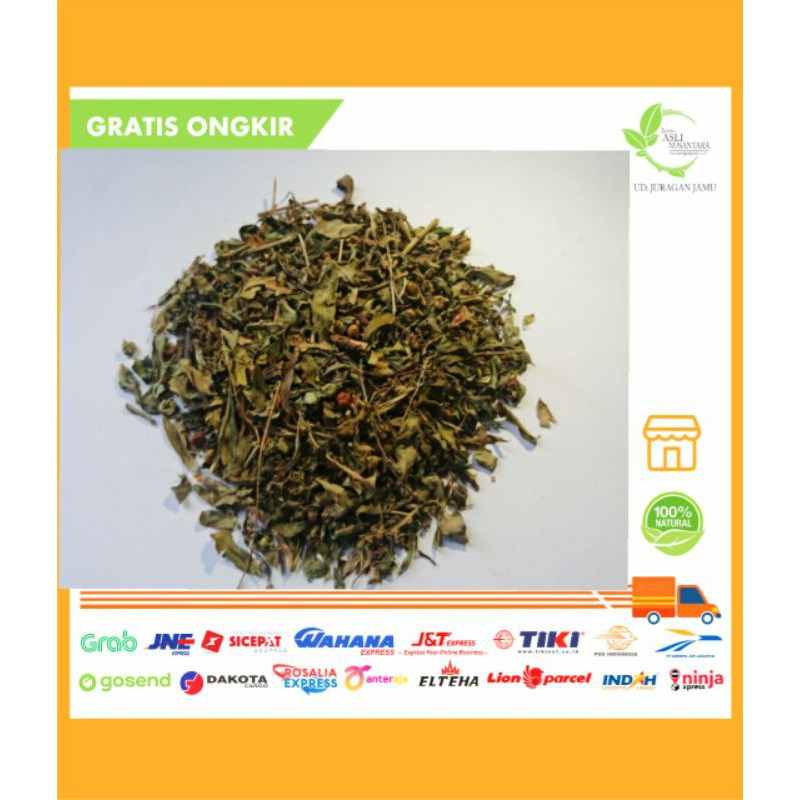 Jual Daun Meniran kering simplisia utuh Phyllanthus urinaria | Shopee ...