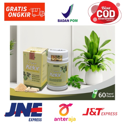 Jual Obat Reumatik Asam Urat Dan Pegel Linu Ekstrak Daun Kelor Tazakka