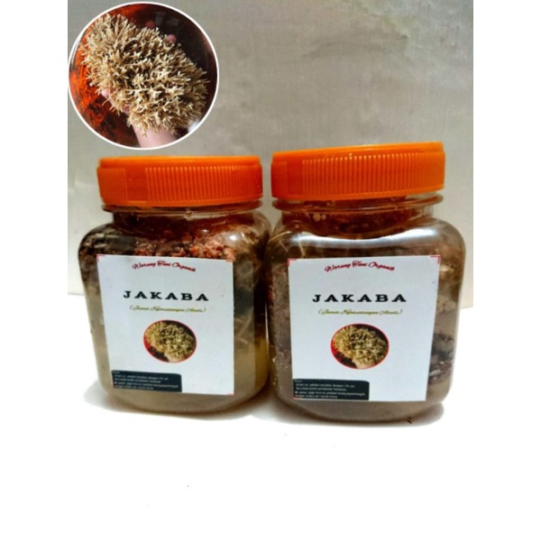 Jual JAKABA | Shopee Indonesia