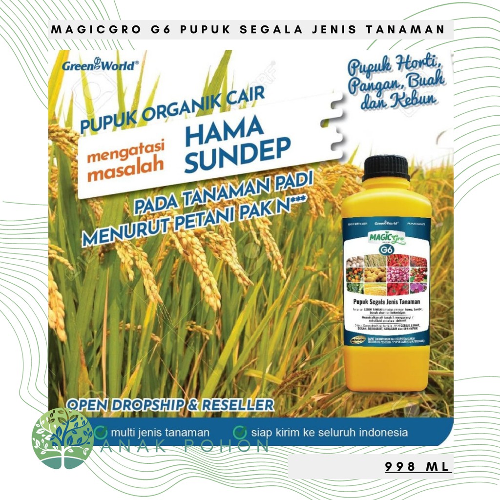 Jual Pupuk Organik MAGICgro G6 - CEGAH & ATASI HAMA SUNDEP PADI - Untuk ...