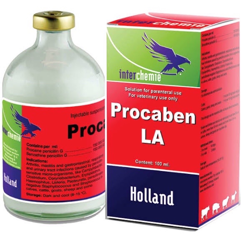 Jual PROCABEN LA Inj 100ml | Shopee Indonesia