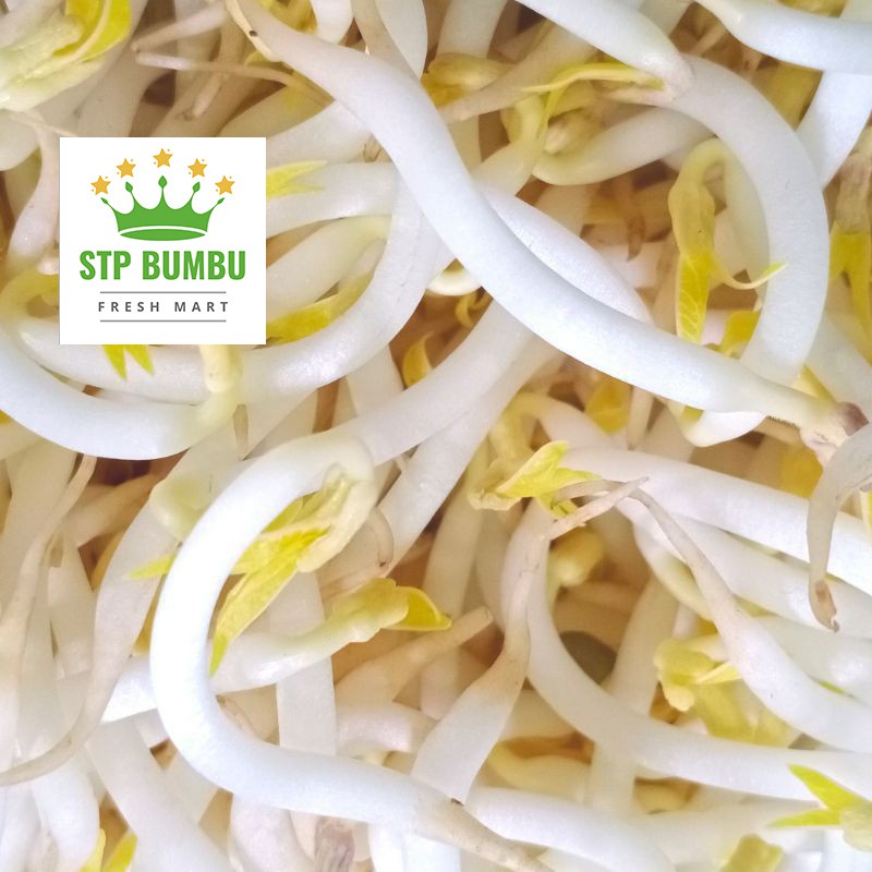 Jual Tauge Toge Segar Fresh 500gr / Sayur Touge | Shopee Indonesia