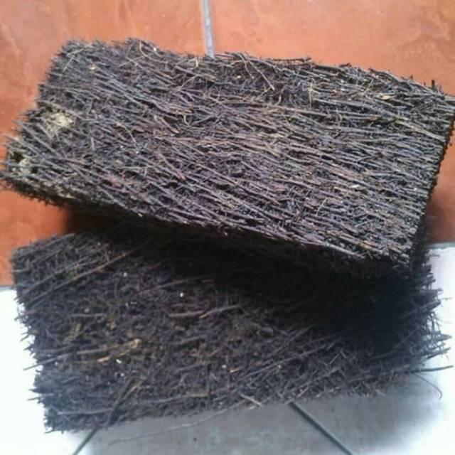 Jual Media tanam anggrek pakis batang - batang pakis | Shopee Indonesia