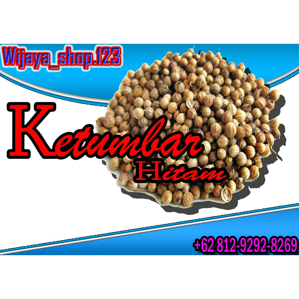 Jual Biji Ketumbar Premium I Coriander Seeds I Ketumbar Toples 250gr ...