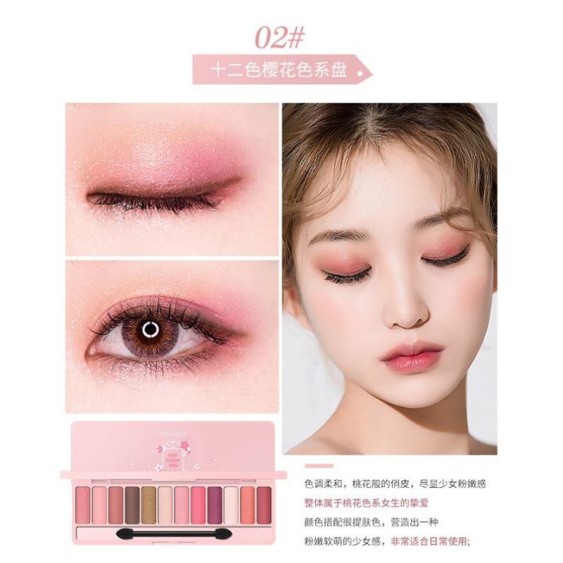 Jual Lameila 12 Colours Eyeshadow Palette | Shopee Indonesia