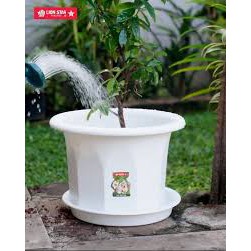 Jual Lion Star Pot Bunga Tanaman Taman Tanam Plastik FP-25 Rose Pot No ...