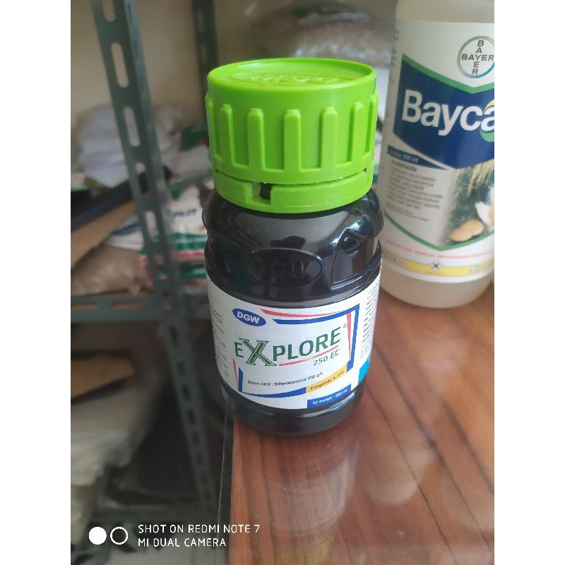Jual Fungisida Explore 250ml | Shopee Indonesia