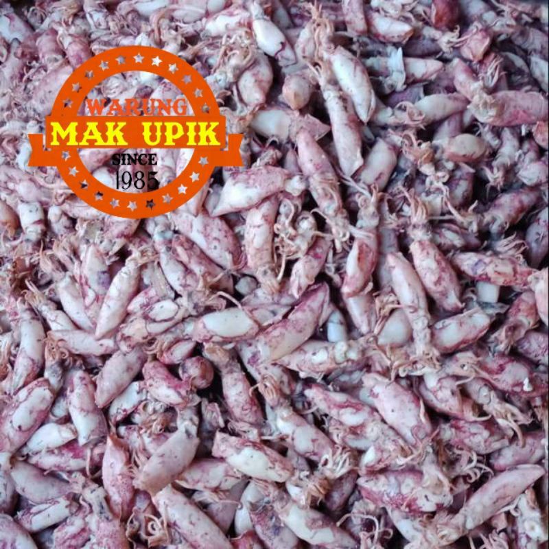 Jual ikan asin cumi basah , cumi asin basah 100 gr / 250 gr / 500 gr ...