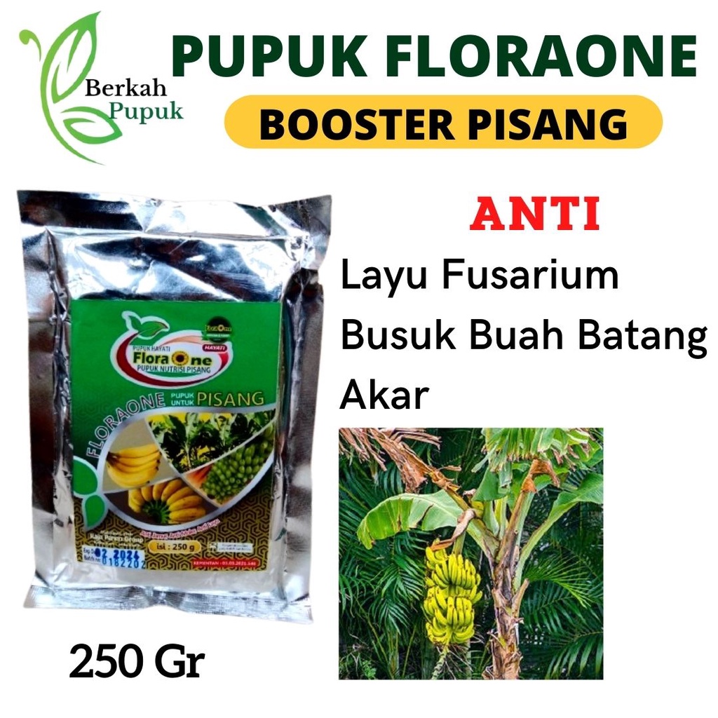Jual Pupuk Pisang Agar Cepat Berbuah, Pupuk Buah Pisang Ambon Raja Kepok | Shopee Indonesia