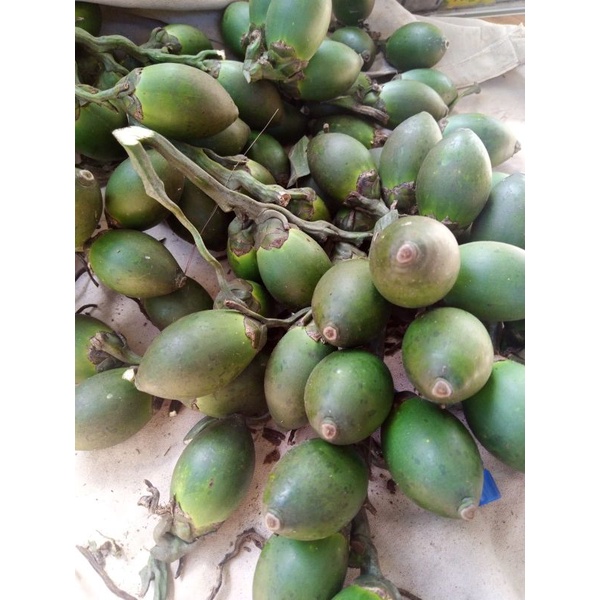 Jual Jual buah pinang segar pres 1 kg | Shopee Indonesia