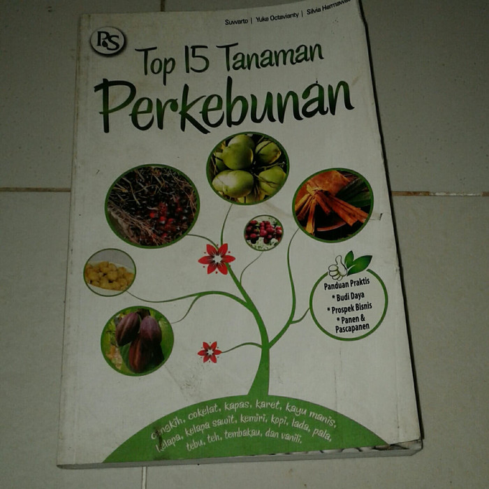 Jual Top 15 tanaman perkebunan | Shopee Indonesia
