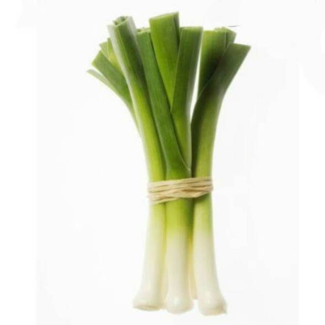 Jual 5 Biji Benih Bawang Prei Jumbo Daun Bawang Giant Leek | Shopee ...